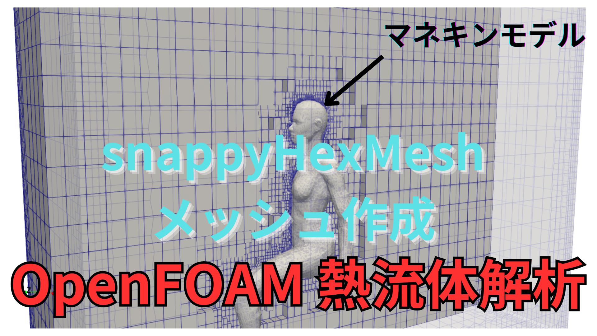 【第2回OpenFOAM熱流体解析】snappyHexMeshでマネキン周りのメッシュ作成｜宇宙に入ったカマキリ
