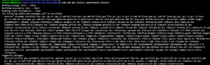 WSLでOpenFOAM v2412をインストール！VS Codeで快適に操作する方法｜宇宙に入ったカマキリ