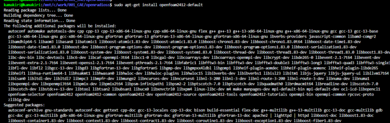 WSLでOpenFOAM v2412をインストール！VS Codeで快適に操作する方法｜宇宙に入ったカマキリ